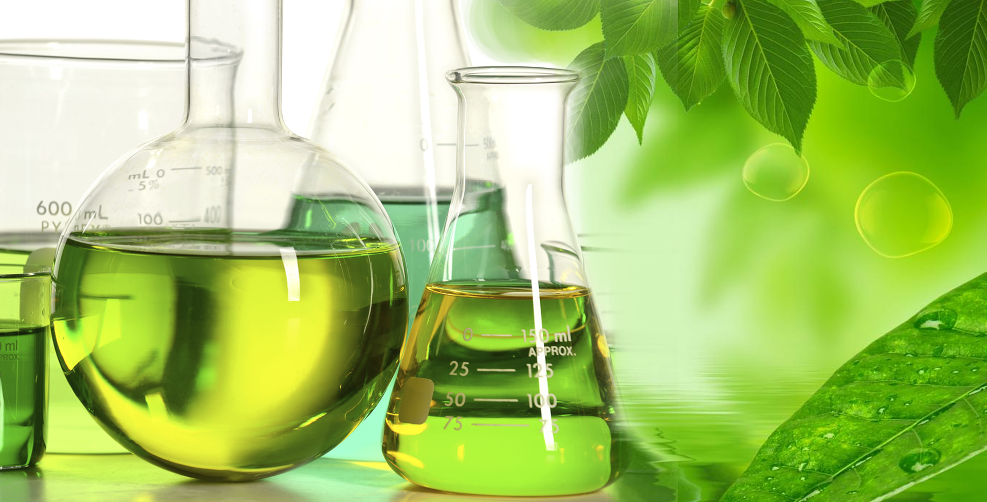 Welcome to Stadia Biotech