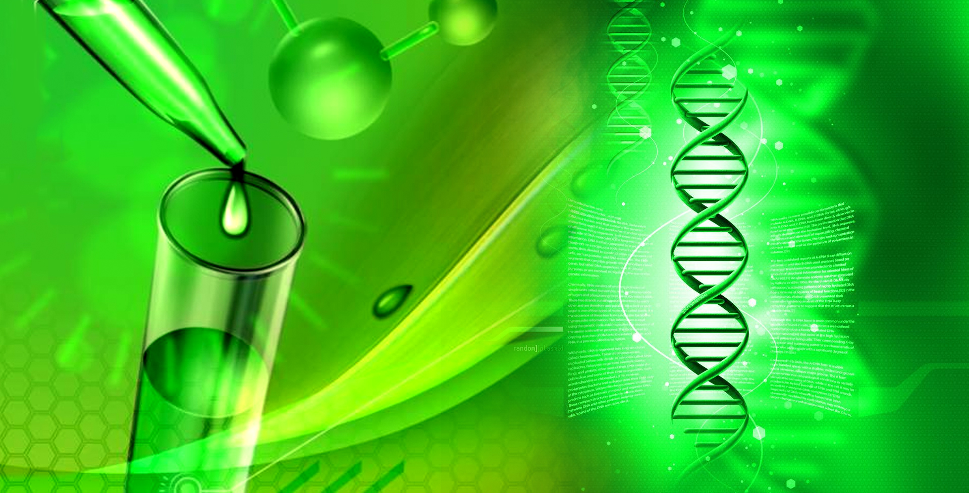 Welcome to Stadia Biotech